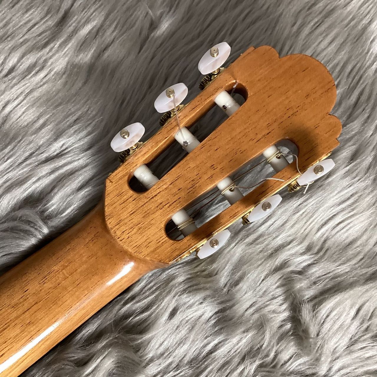 Antonio Raya Pardo 2017年製 Torres 松/ハカランダ【640mm】【USED】（中古/送料無料）【楽器検索デジマート】