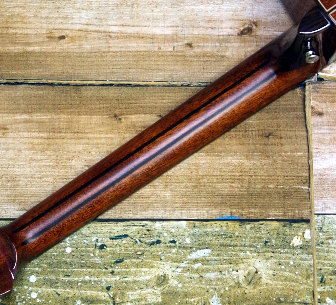 NATASHA CAT（新品）【楽器検索デジマート】