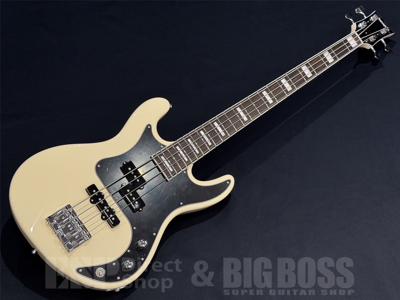 EDWARDS E-Lynn / White（新品/送料無料）【楽器検索デジマート】