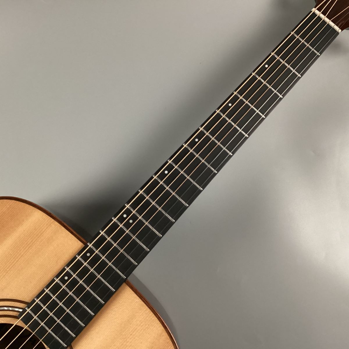 James J-900/L L.R.Baggs PU搭載エレアコ オール単板 【現物画像】※傷写真あり（新品/送料無料）【楽器検索デジマート】