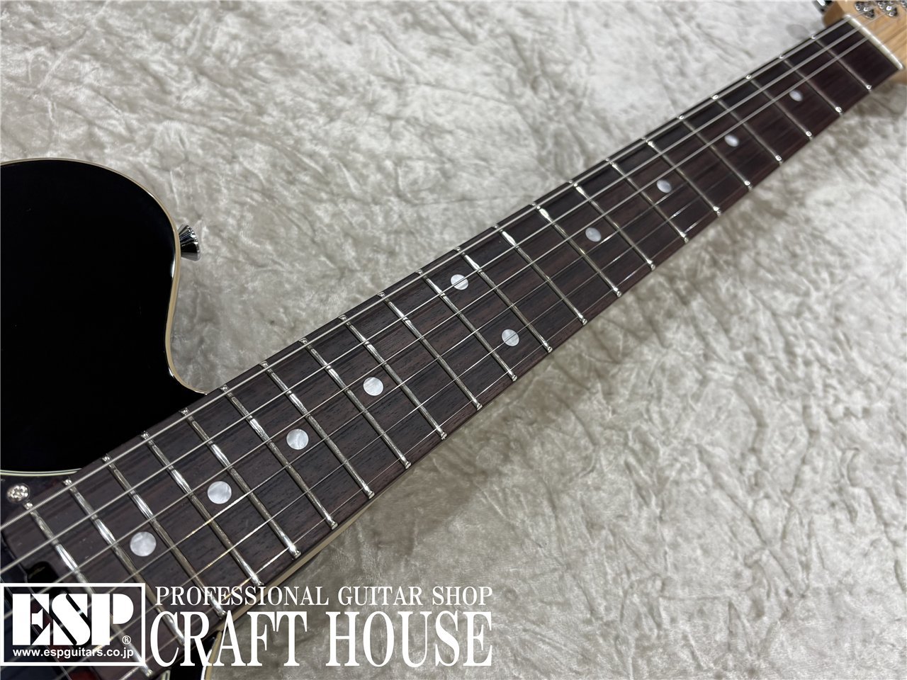 EDWARDS E-THROBBER / Black（新品/送料無料）【楽器検索デジマート】