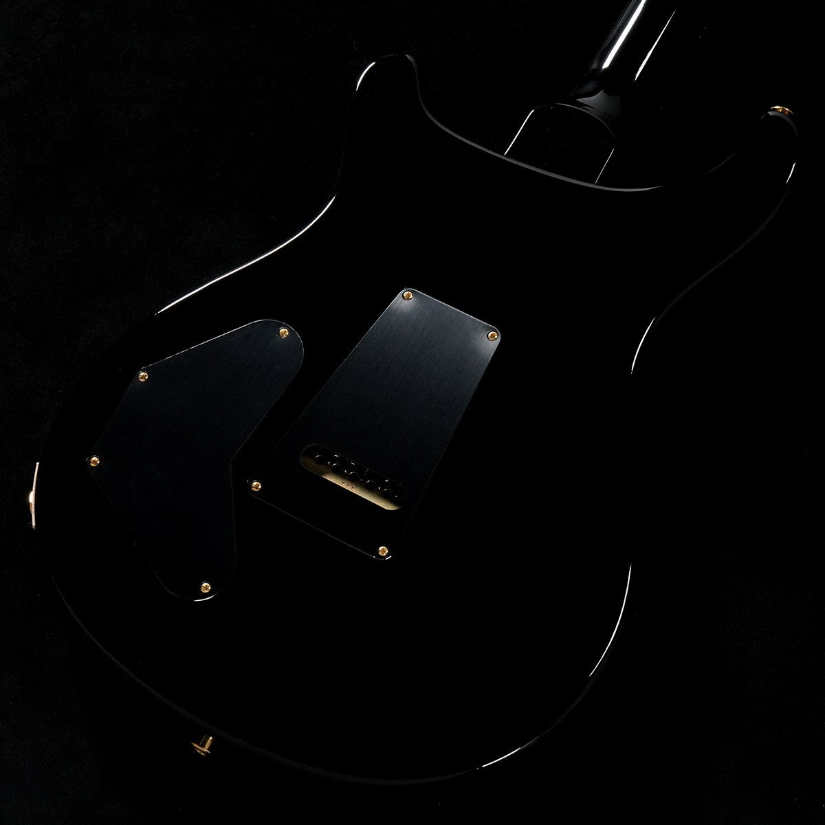 Paul Reed Smith(PRS) 2024 DGT w/Bird Inlays 10Top Custom Color (重量:3 ...