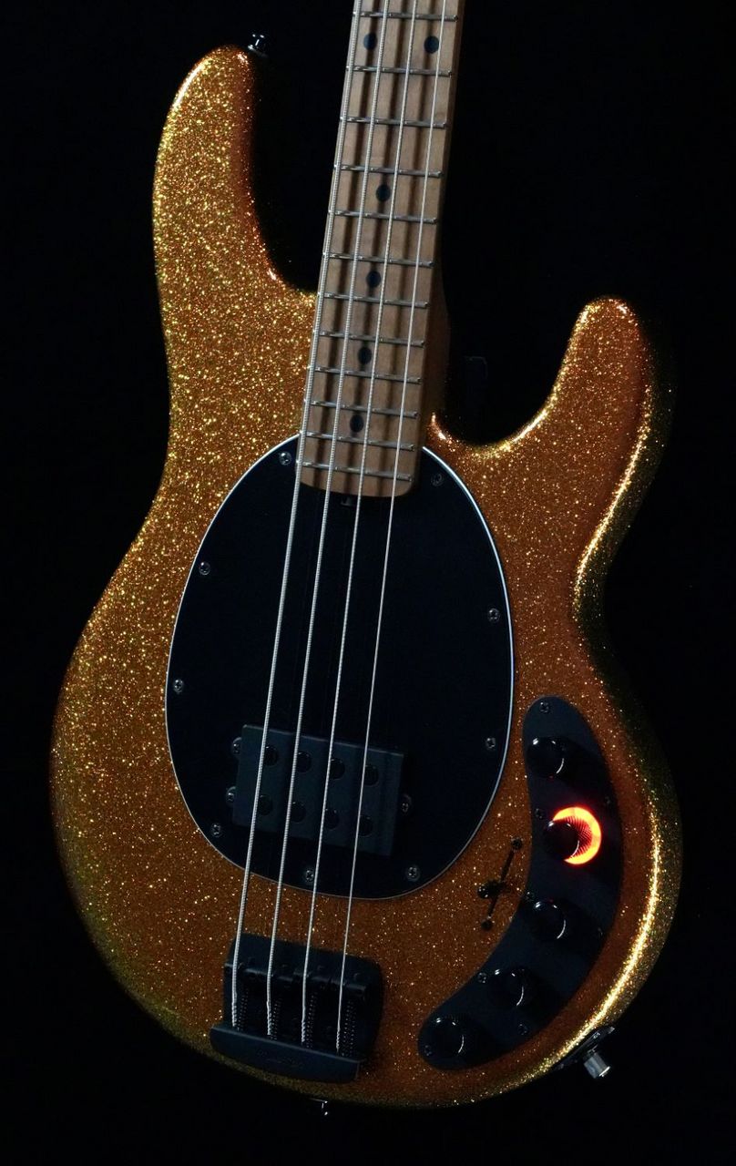 MUSIC MAN Dark Ray Bass Roasted Maple FB/Gold Bar（新品/送料無料）【楽器検索デジマート】