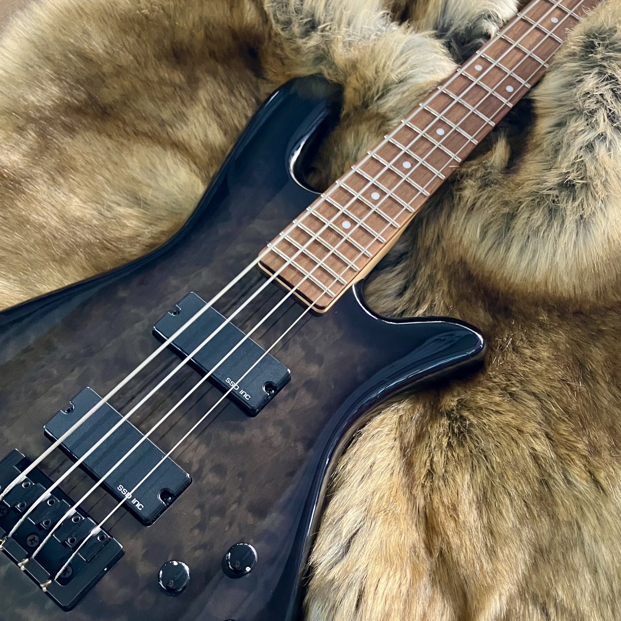 Spector Legend 4 Classic, LG4CL【清水巴町本店】（新品特価）【楽器検索デジマート】