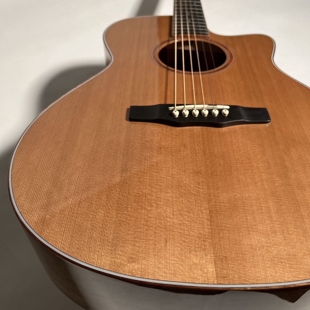 Morris SC-61（新品/送料無料）【楽器検索デジマート】