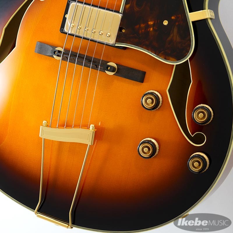 Ibanez AF200-BS（新品）【楽器検索デジマート】