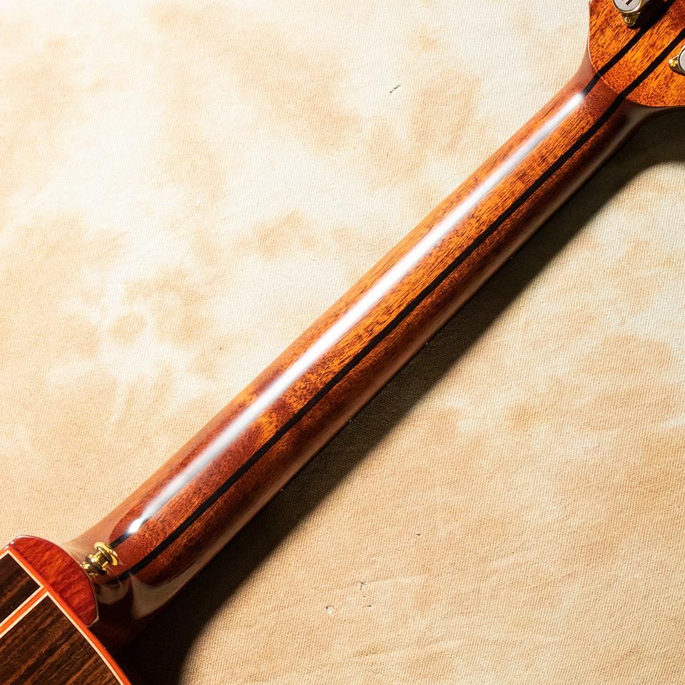 NATASHA JC-35（新品/送料無料）【楽器検索デジマート】