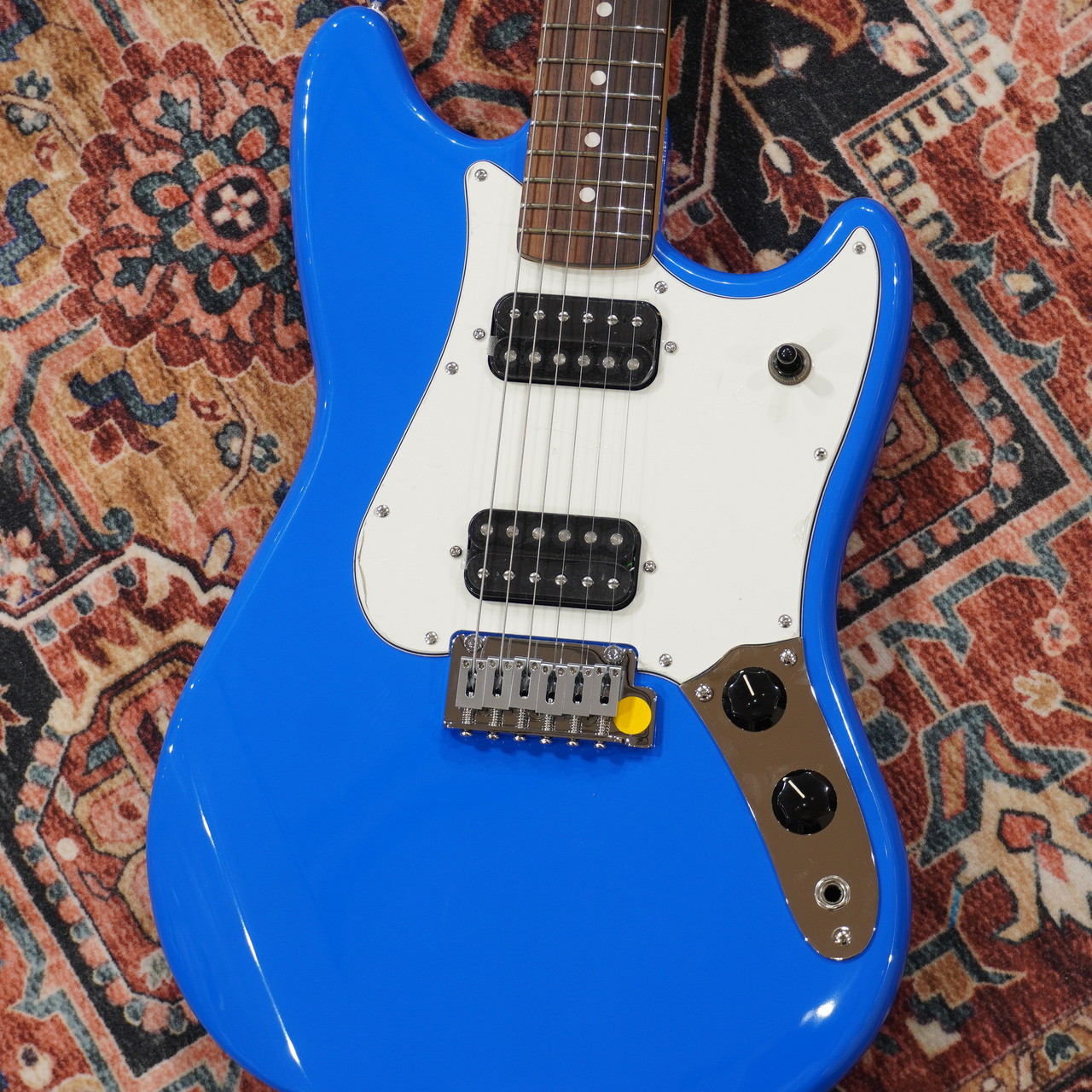 Fender Chilli Beans. Lily Cyclone Lily Blue / Rosewood【WINTER SELECTION ...