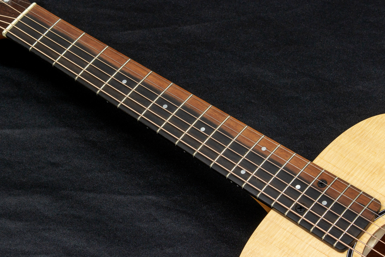 Taylor Baby Taylor-e BT-1e Walnut #2208251054 1.37kg【TONIQ横浜】（新品/送料無料）【楽器検索デジマート】