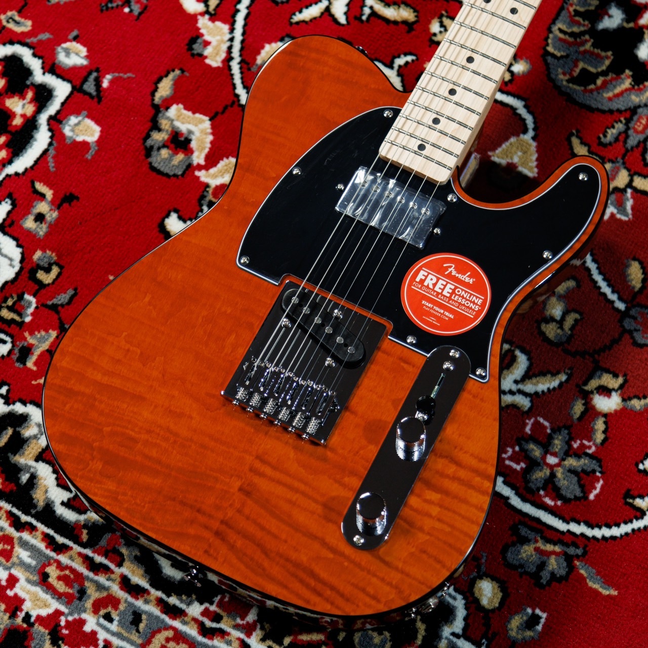 Squier by Fender Affinity Series Telecaster Flame Maple Top Mocha（新品/送料 ...