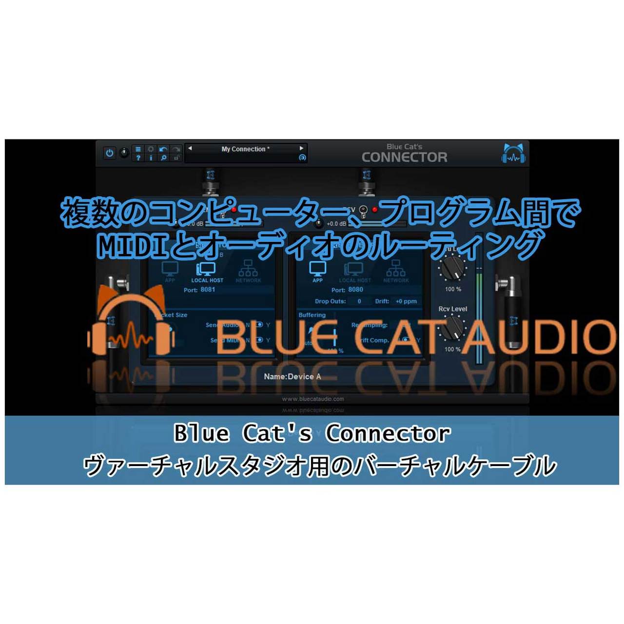Blue Cat Audio Blue Cat Audio Blue Cat's Connector ブルーキャットオーディオ 【代引き不可 ...