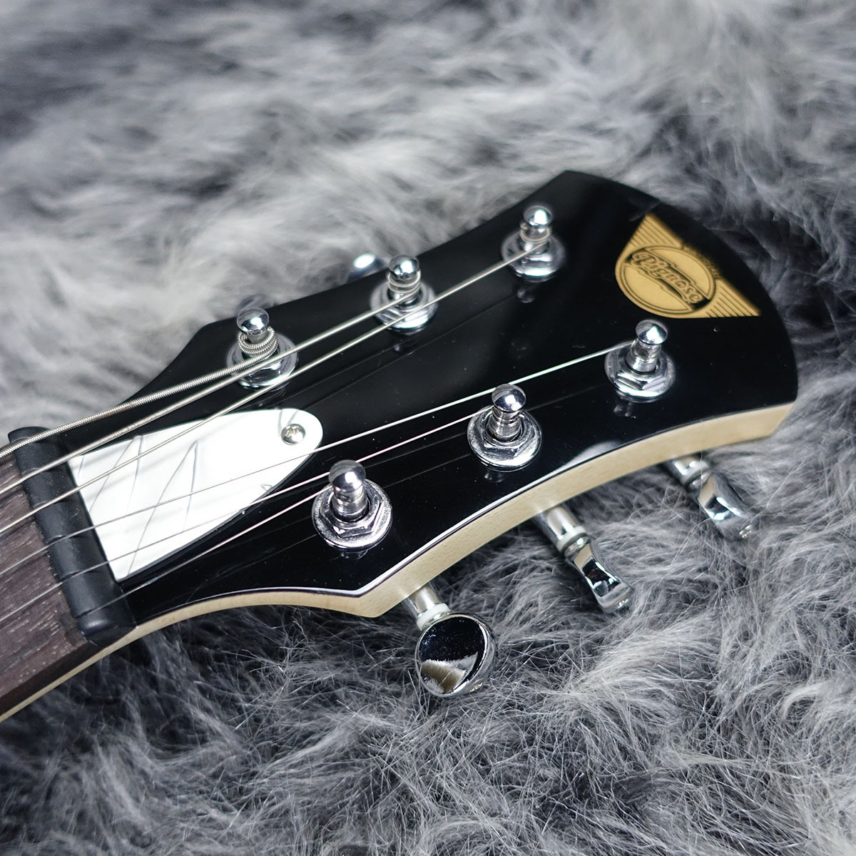 Pignose PGG-200MF【ロッキンオーダーモデル！！】（新品）【楽器検索デジマート】