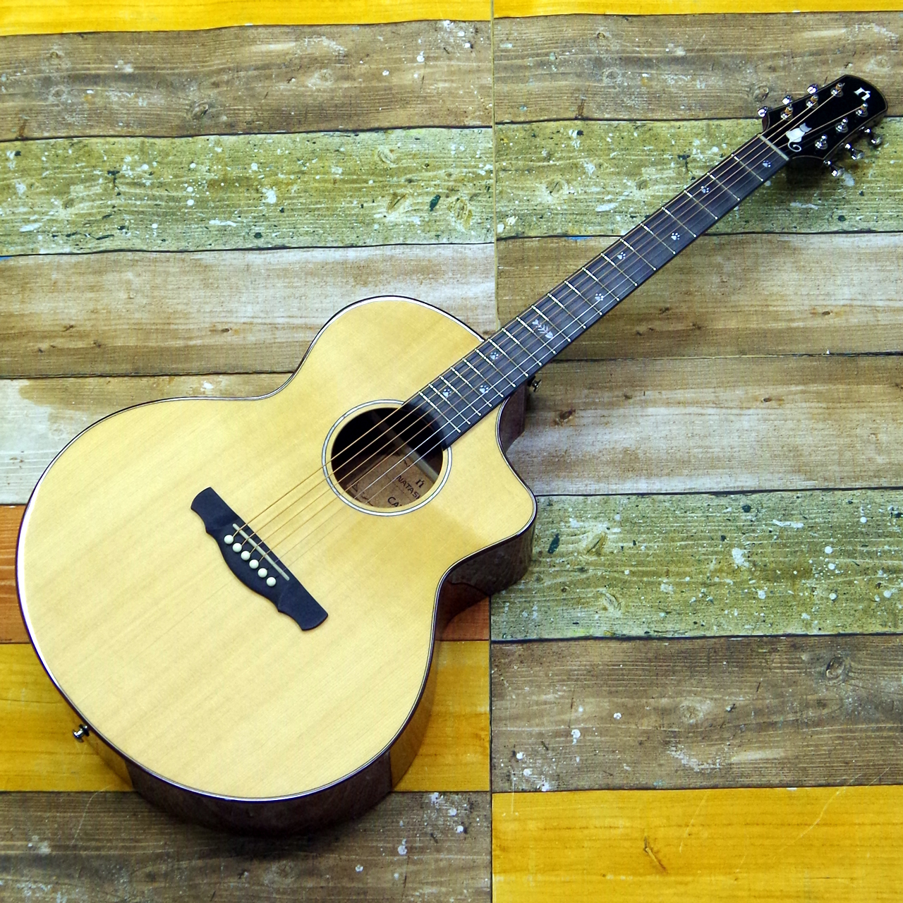 NATASHA CAT（新品）【楽器検索デジマート】