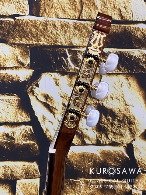 Paco Castillo パコ・カスティージョ 213F 7/8松・シカモア 635mm ショートスケール 【日本総本店2F 在庫品】（新品/送料無料）【楽器検索デジマート】