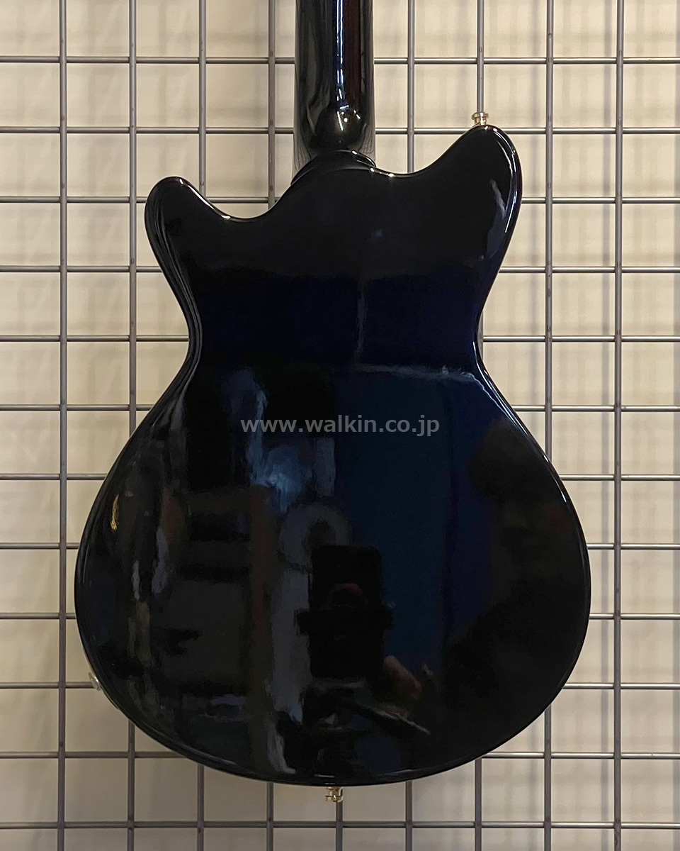 T's Guitar Arc Hollow-22 (Cusome Made)（中古）【楽器検索デジマート】