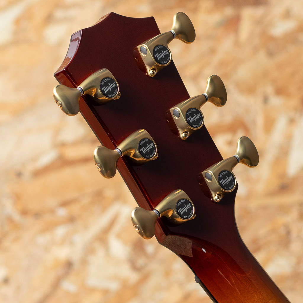Taylor Custom GA Flamed Maple（新品）【楽器検索デジマート】