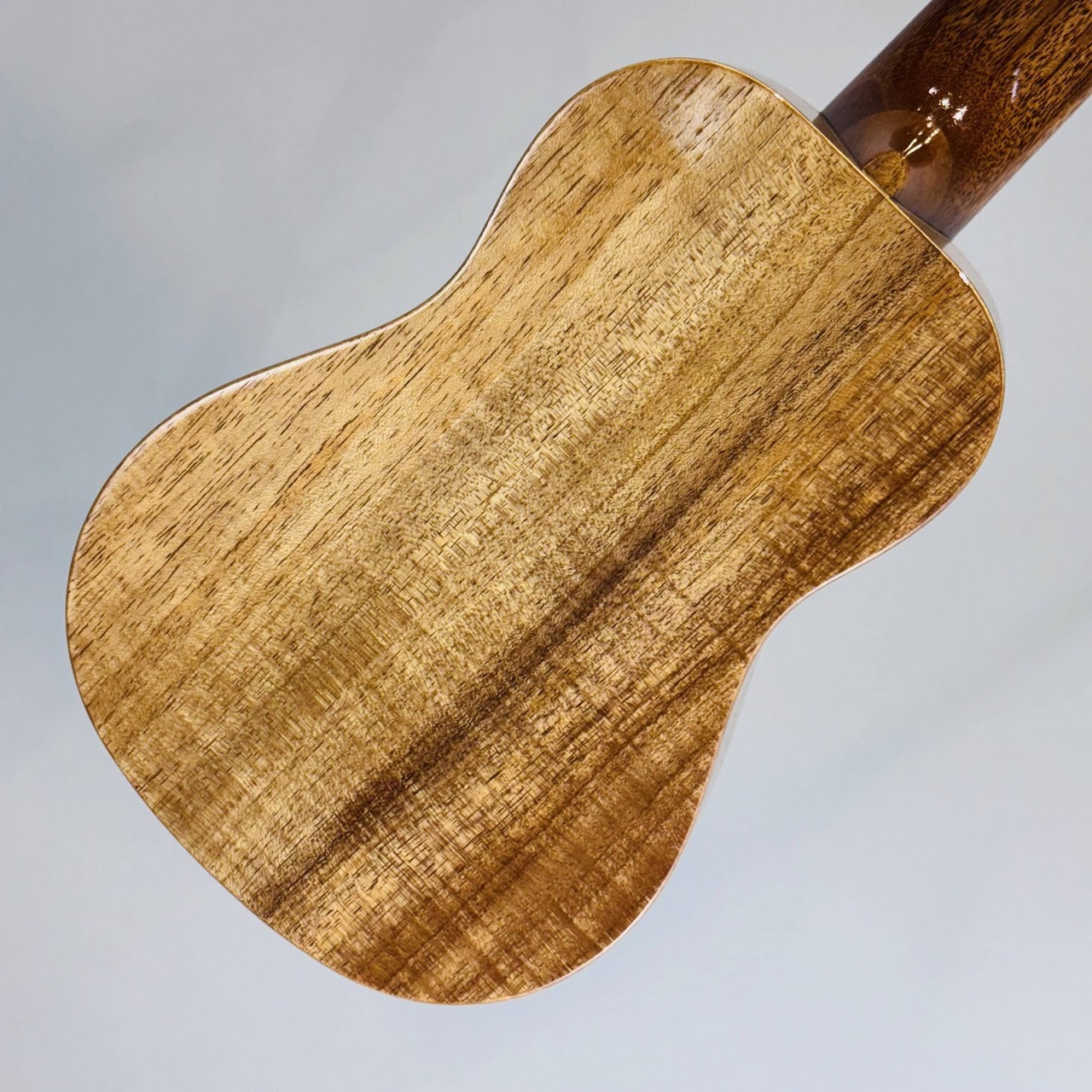 COTONE CS5C NAT コンサートウクレレスタンダードシリーズ（新品/送料無料）【楽器検索デジマート】