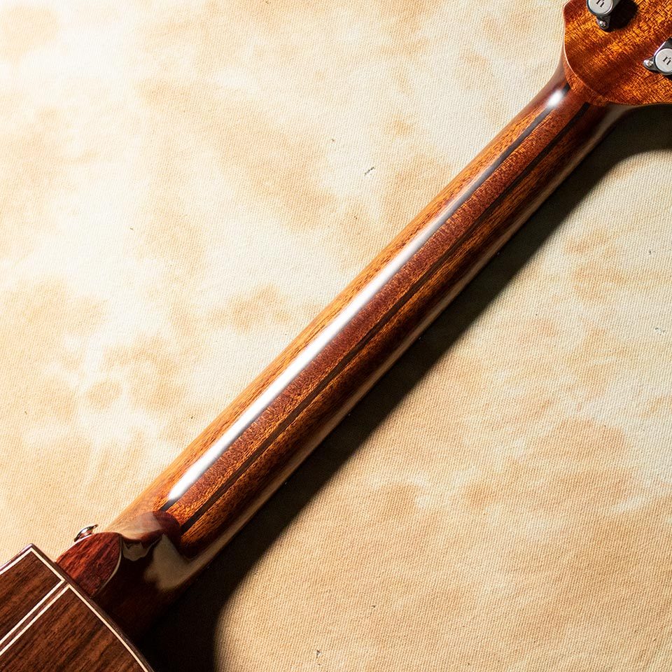 NATASHA JC-2【チョイキズ特価】（B級特価/送料無料）【楽器検索デジマート】