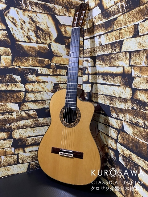 ESTEVE エステベ Model:ELEC Spr オール単板 エレガット 【日本総本店2F 在庫品】（新品）【楽器検索デジマート】