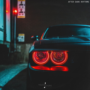 TOUCH LOOPS AFTER DARK RHYTHMS（新品/送料無料）【楽器検索デジマート】