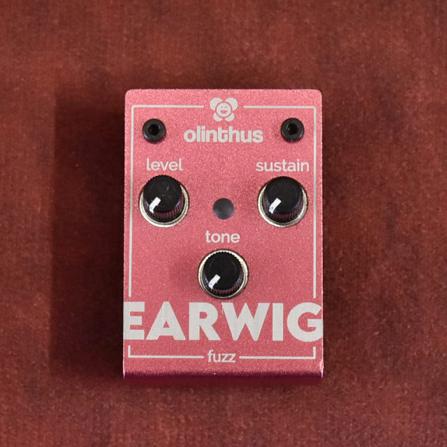 Olinthus EARWIG（新品）【楽器検索デジマート】