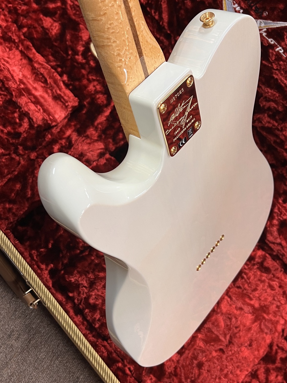 Fender Custom Shop 30TH ANNIVERSARY FOUNDERS DESIGN ESQURE Michael ...