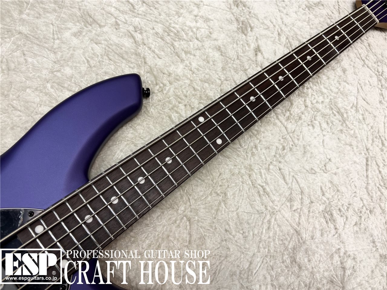 Sterling by MUSIC MAN BONGO 5 / Firemist Purple Satin（新品/送料無料）【楽器検索デジマート】