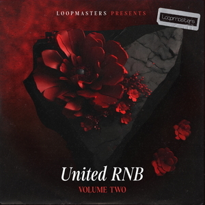 LOOPMASTERS UNITED RNB VOL 2（新品/送料無料）【楽器検索デジマート】