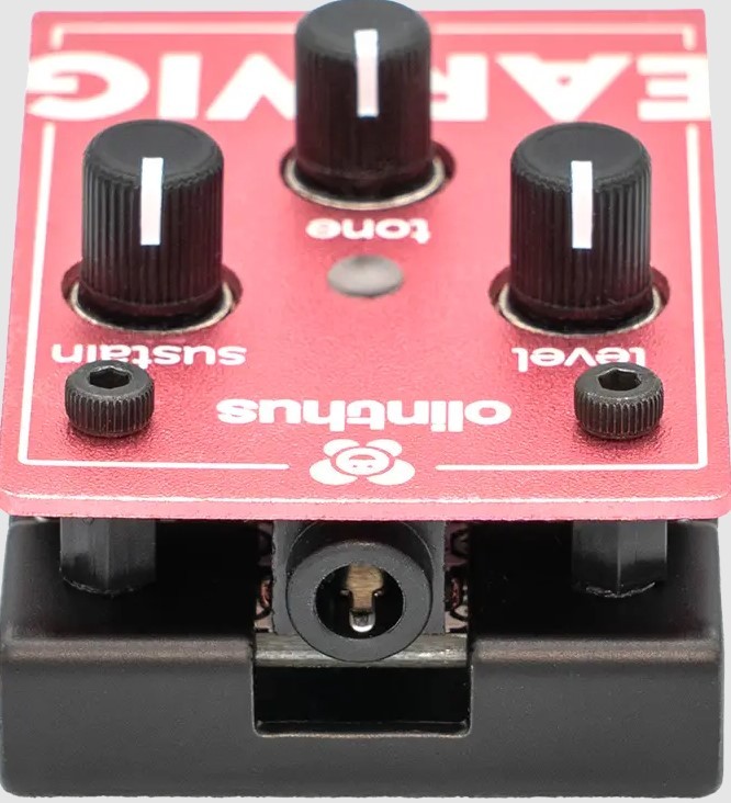 Olinthus EARWIG ファズ【国内正規品】【渋谷店】（新品）【楽器検索デジマート】