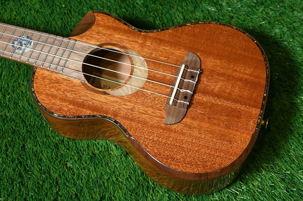 ORTEGA ECLIPSE-CC4 Concert（新品）【楽器検索デジマート】