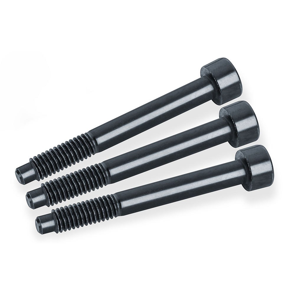 Schaller LockMeister String Lock Screw Short x 3 ストリング ロックスクリュー ショート 3本 ...