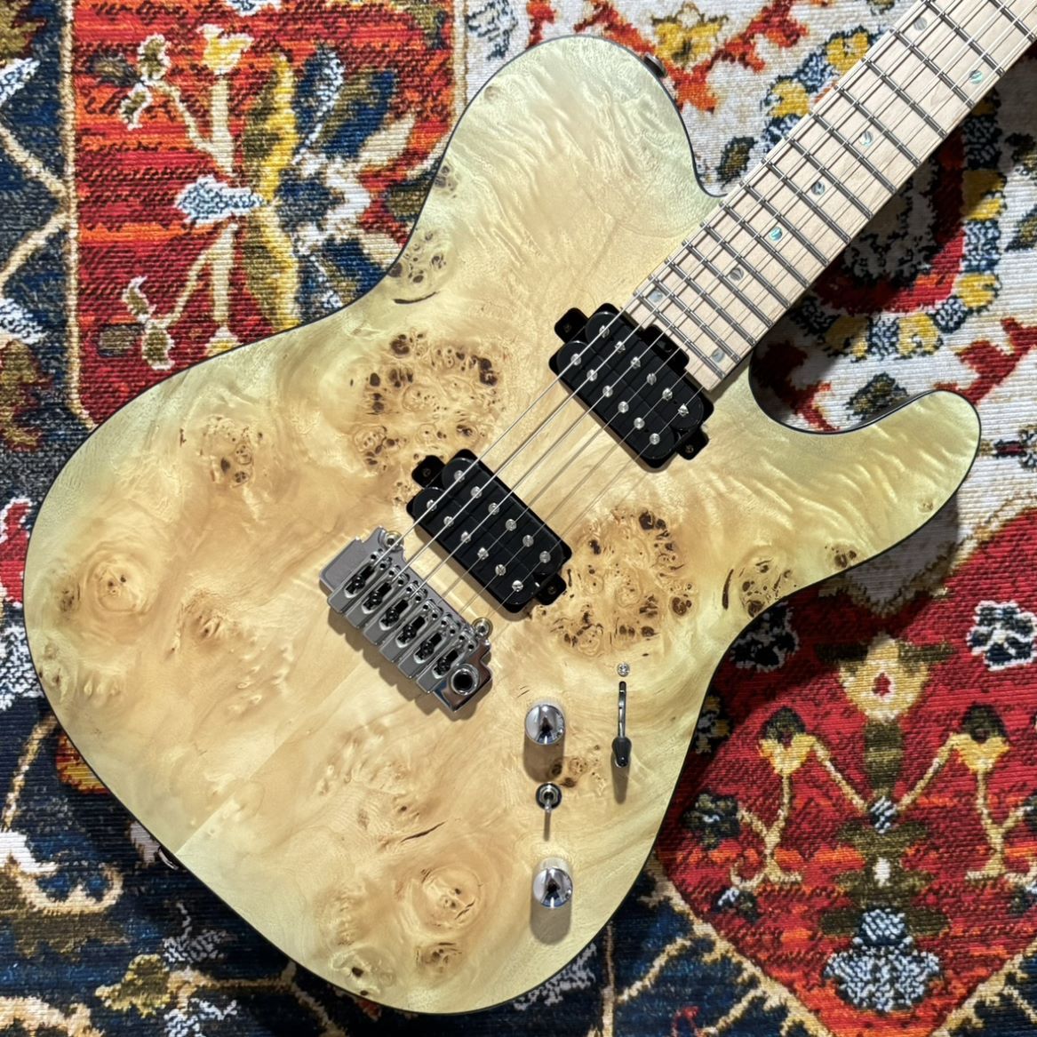 Bacchus 【現物写真】TACTICS24-BP/M（新品/送料無料）【楽器検索デジマート】