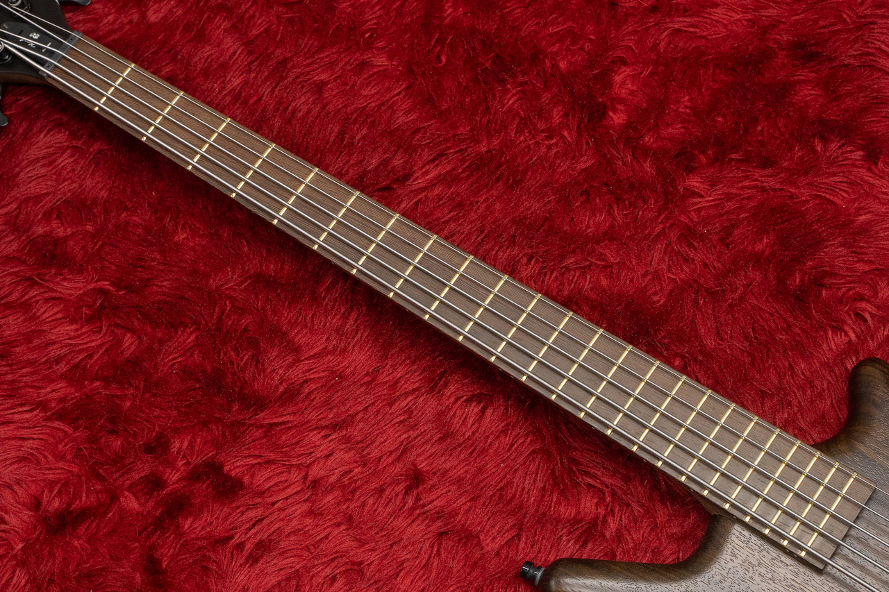 Warwick Team Build PS Thumb BO 5 TS NB 4.575kg #G010165-22【GIB横浜】（新品特価 ...