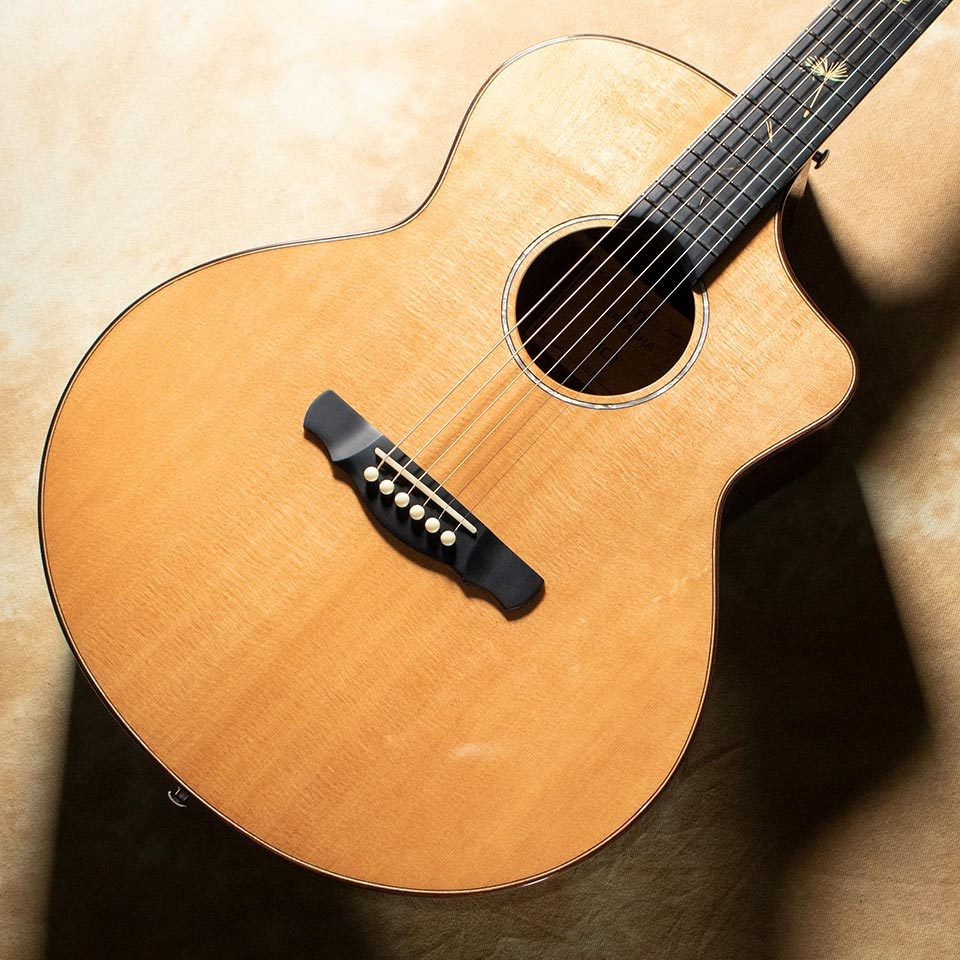 NATASHA JC-2（新品/送料無料）【楽器検索デジマート】