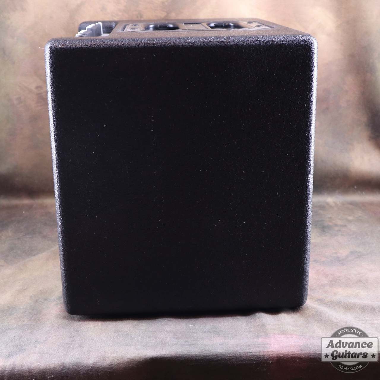 AER Compact 60/2（中古）【楽器検索デジマート】