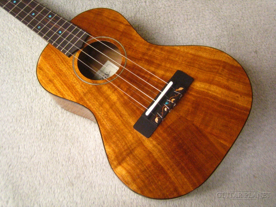 FUJIGEN(FGN) FUS-TT（新品/送料無料）【楽器検索デジマート】