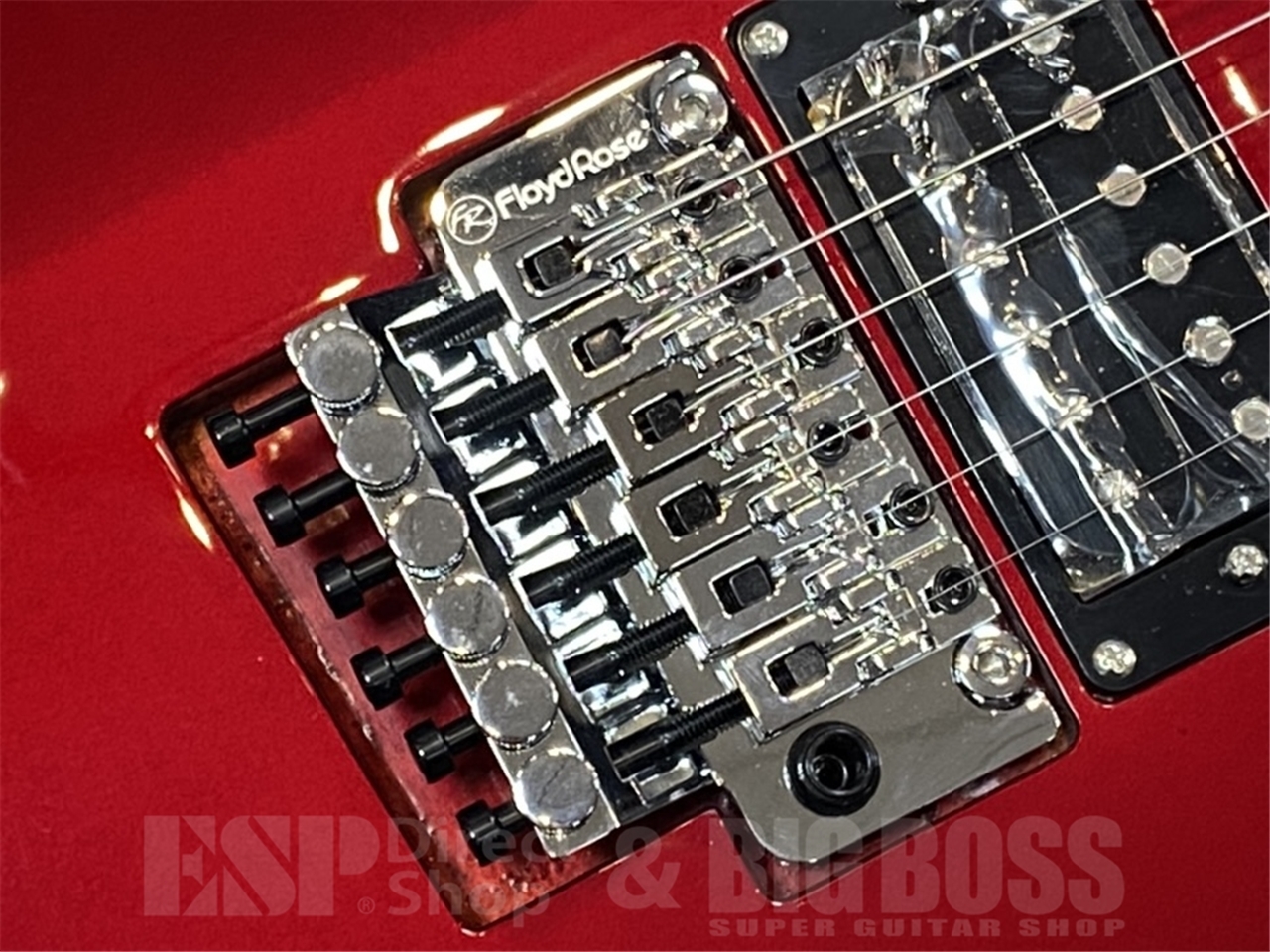 Killer KG-Fascist Vice SE【DR】（新品/送料無料）【楽器検索デジマート】