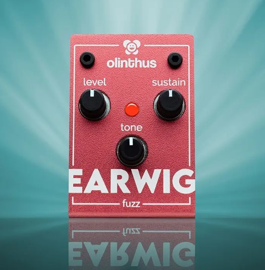 Olinthus EARWIG ファズ【国内正規品】【渋谷店】（新品）【楽器検索デジマート】