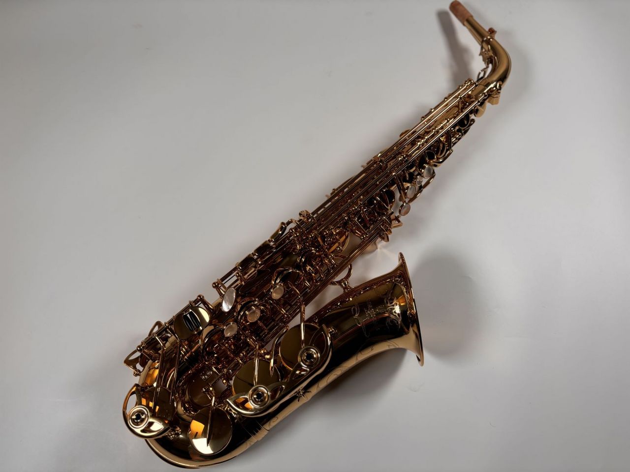 YANAGISAWA A-WO10 アルトサックス ブラス製 ヘヴィー仕様AWO10 WO10（新品/送料無料）【楽器検索デジマート】