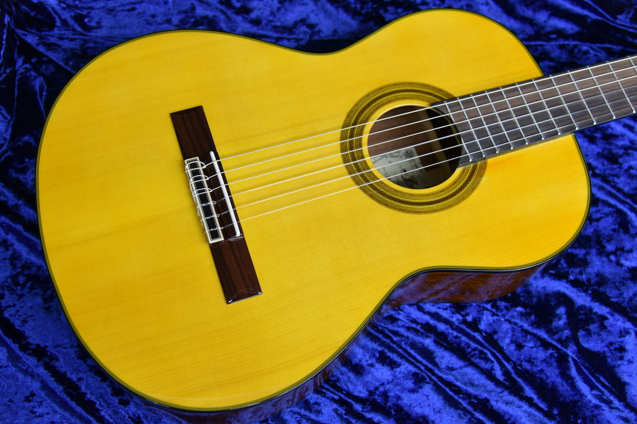 ARIA A-20S （新品特価）【楽器検索デジマート】