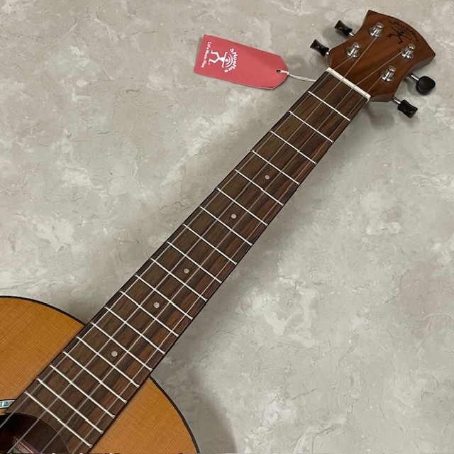 aNueNue 【現物画像】aNN-T4 テナーウクレレ【テナー入門にも最適】（新品/送料無料）【楽器検索デジマート】