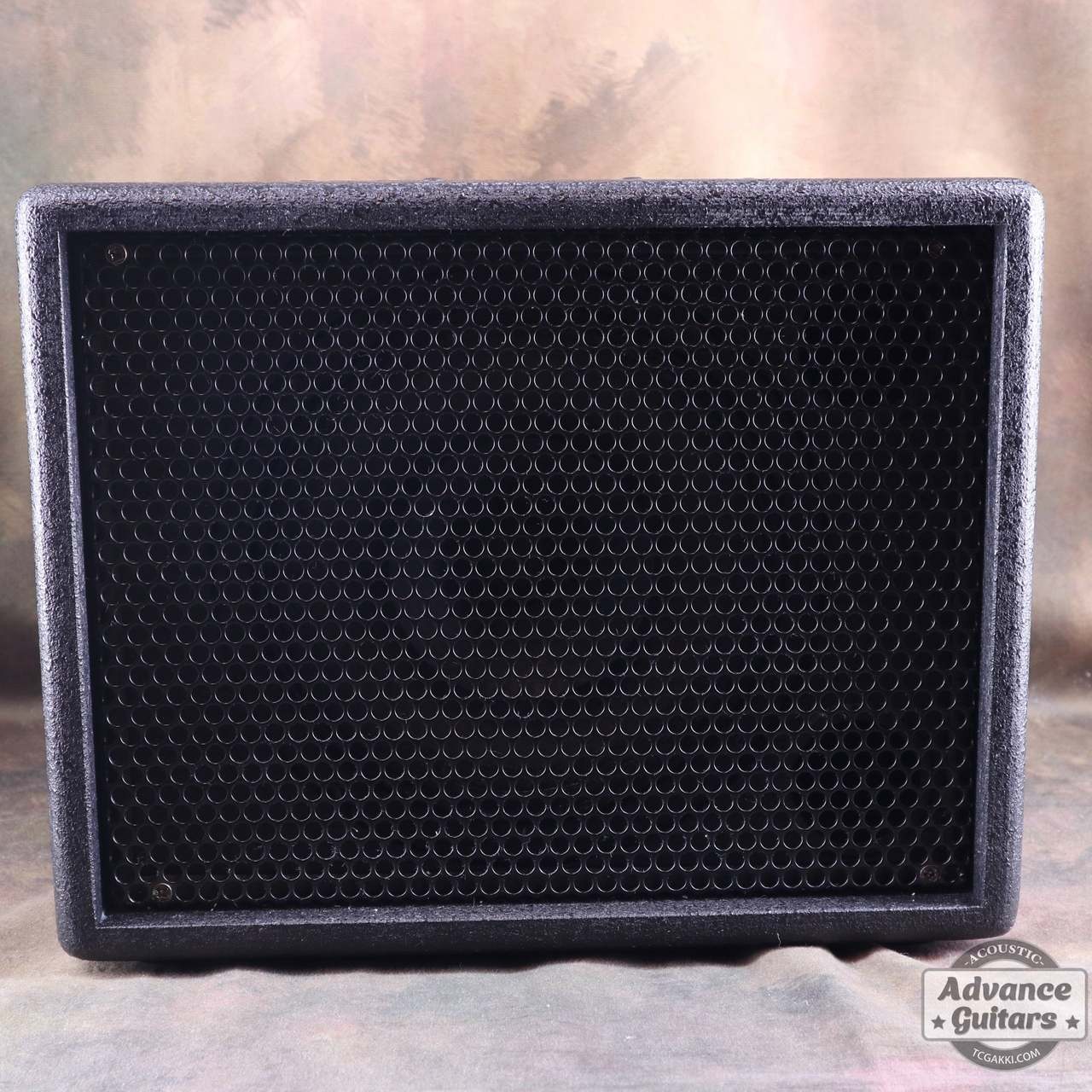 AER Compact 60/2（中古）【楽器検索デジマート】