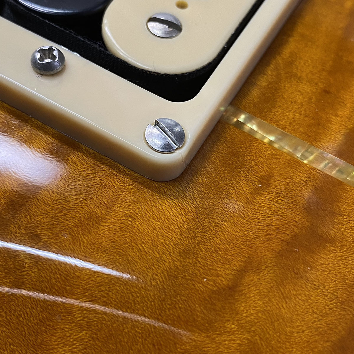 Paul Reed Smith(PRS) Private Stock Howard Leese Golden Eagle 1/100（中古 ...