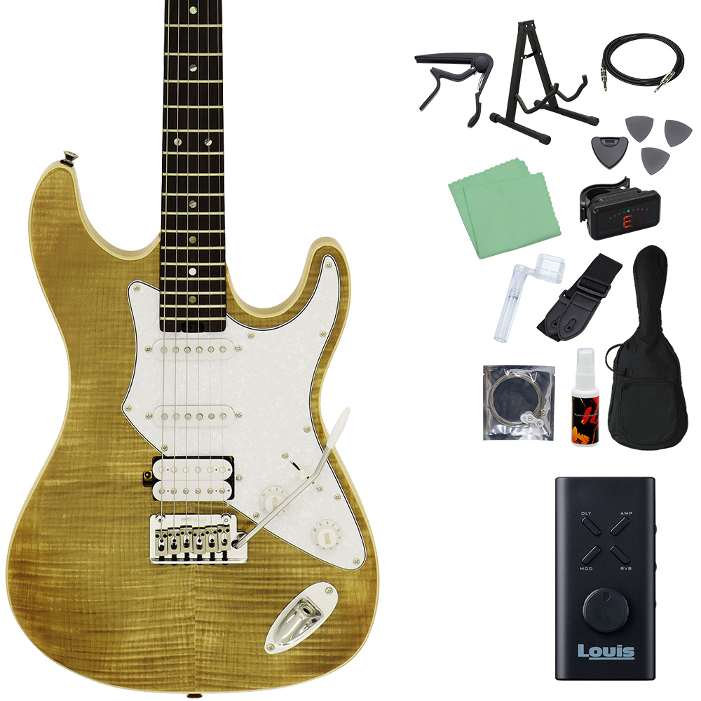 Aria Pro II 714-AE200 エレキギター初心者14点セット【ヘッドホンアンプ付き】 YG ストラトタイプ（新品/送料無料）【楽器検索デジマート】