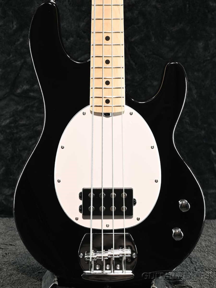 Sterling by MUSIC MAN SUB Intro Series RAY2 -Black-【オンラインストア限定】（新品/送料無料 ...