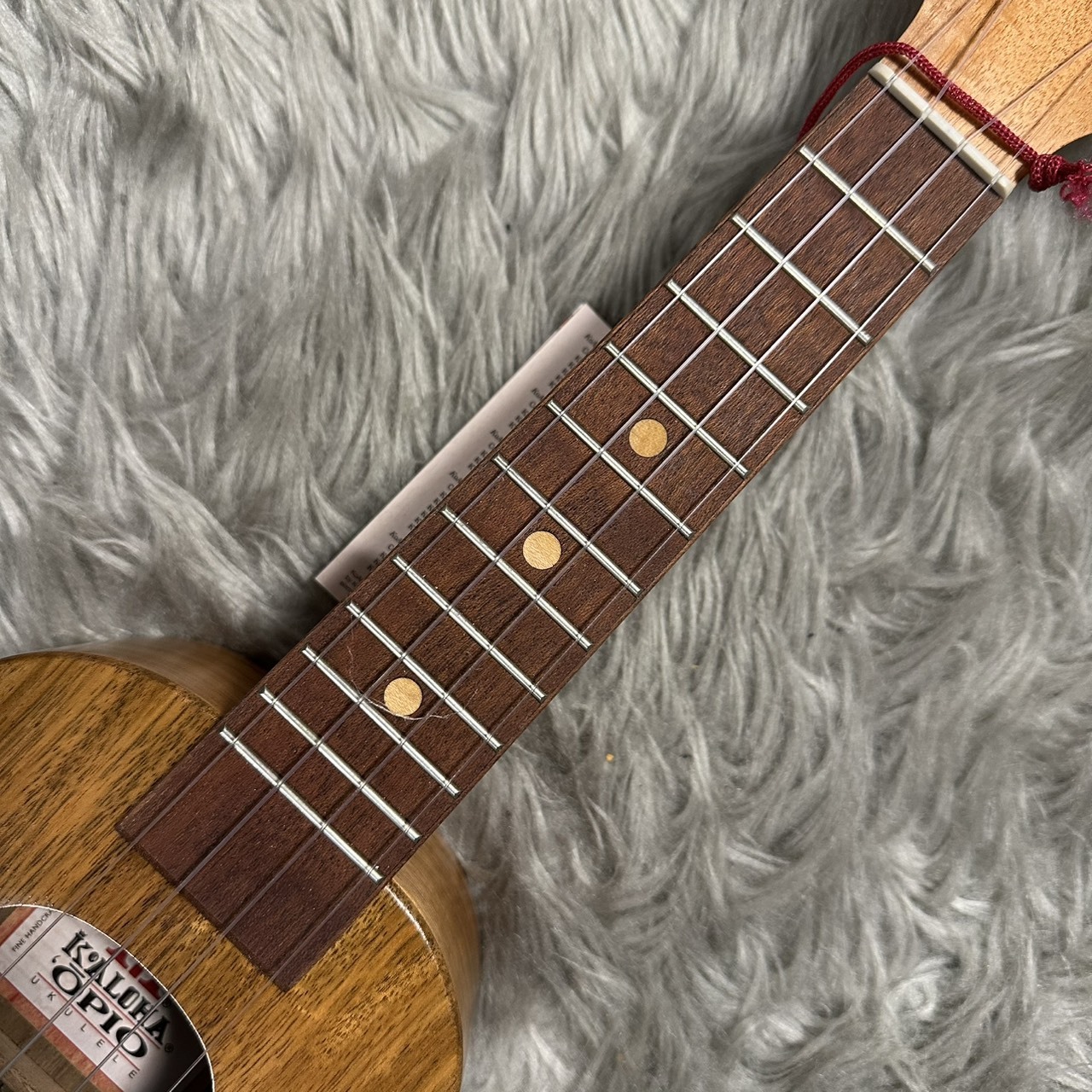 Koaloha Opio KSO-10 Opio Sop【現物画像】（新品特価/送料無料）【楽器検索デジマート】