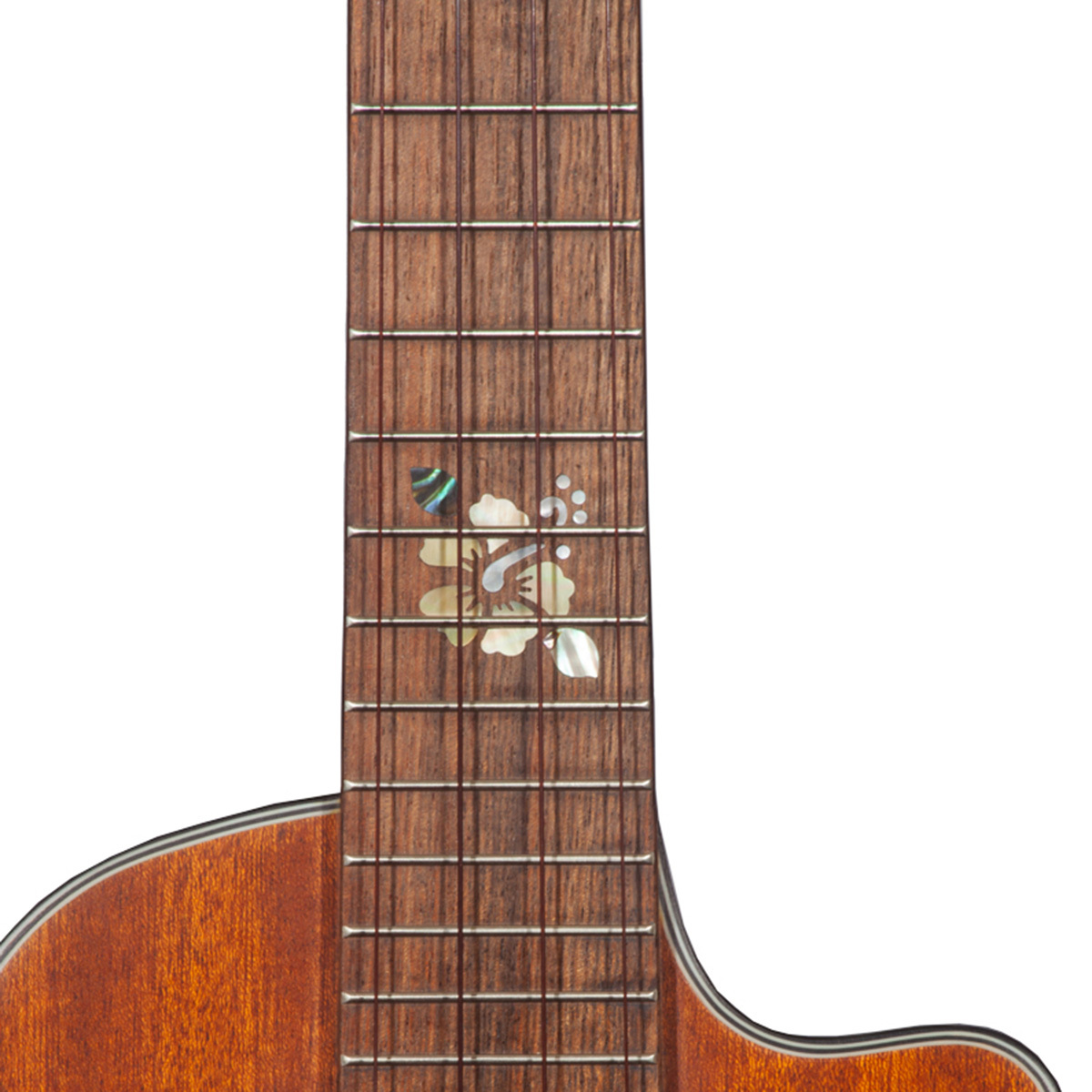 Ohana Ukuleles Cynthia Lin Series TK-25CE CL（新品/送料無料）【楽器検索デジマート】
