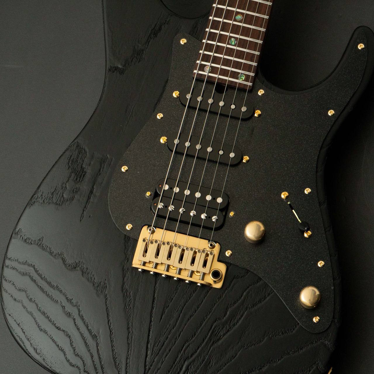 T's Guitars DST Pro 24 Rosewood -Steps Black Mat-（新品/送料無料）【楽器検索デジマート】
