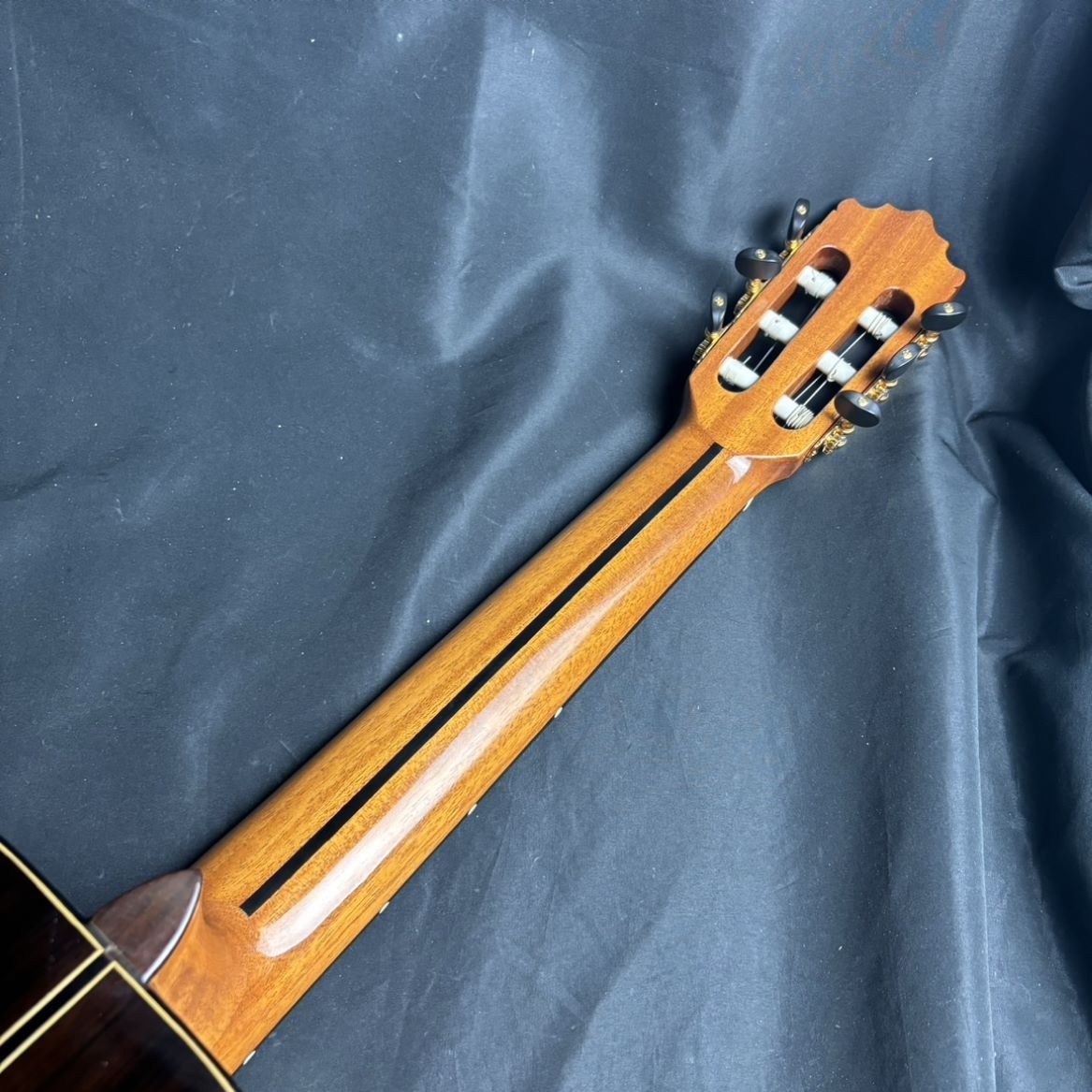 Paco Castillo 240（中古/送料無料）【楽器検索デジマート】