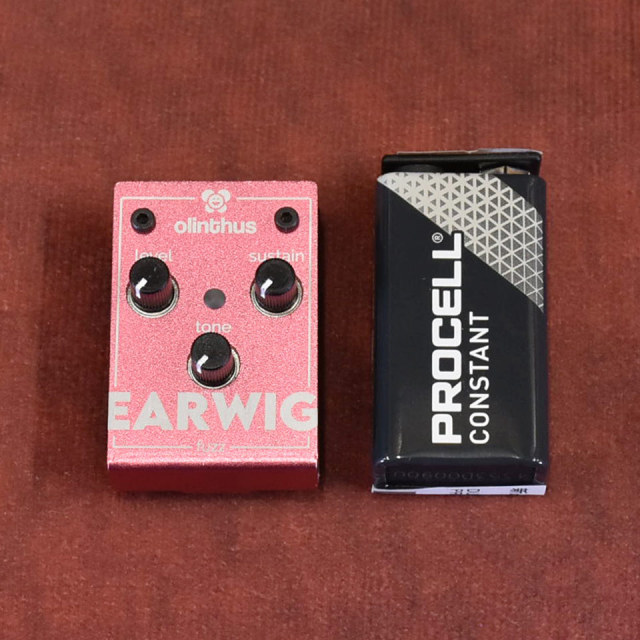 Olinthus EARWIG（新品）【楽器検索デジマート】